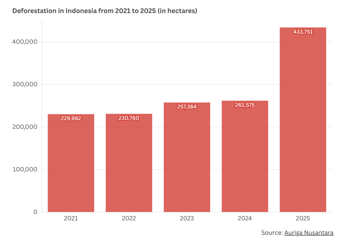 Deforestation is surging in Indonesia - Rainforest News